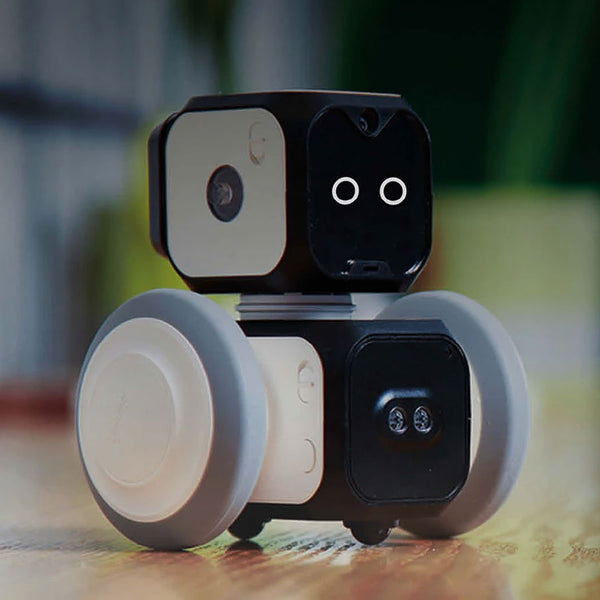 AI Coding Robot ARTIBO – Pure Living Australia